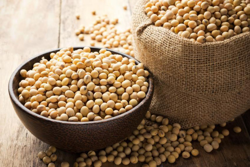 Proteins Soy Lecithin China Manufacturer Exporter Proteins Soy Lecithin China Manufacturer Exporter